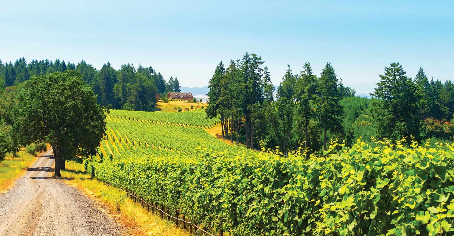 ThingstodoinWillamette-Valley | Visit Oregon